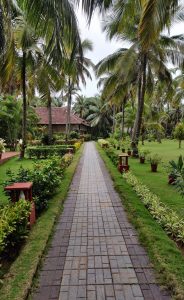 Beach - The Nattika Beach
